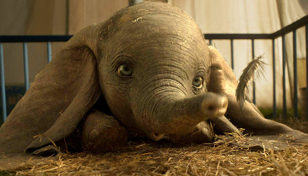 Trailer: Disney och Tim Burton gör otecknad version av Dumbo | ELLE
