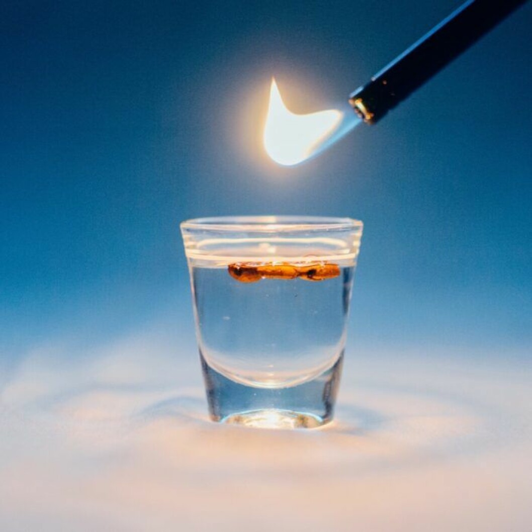 5 brinnande shots som passar på Valborg | ELLE