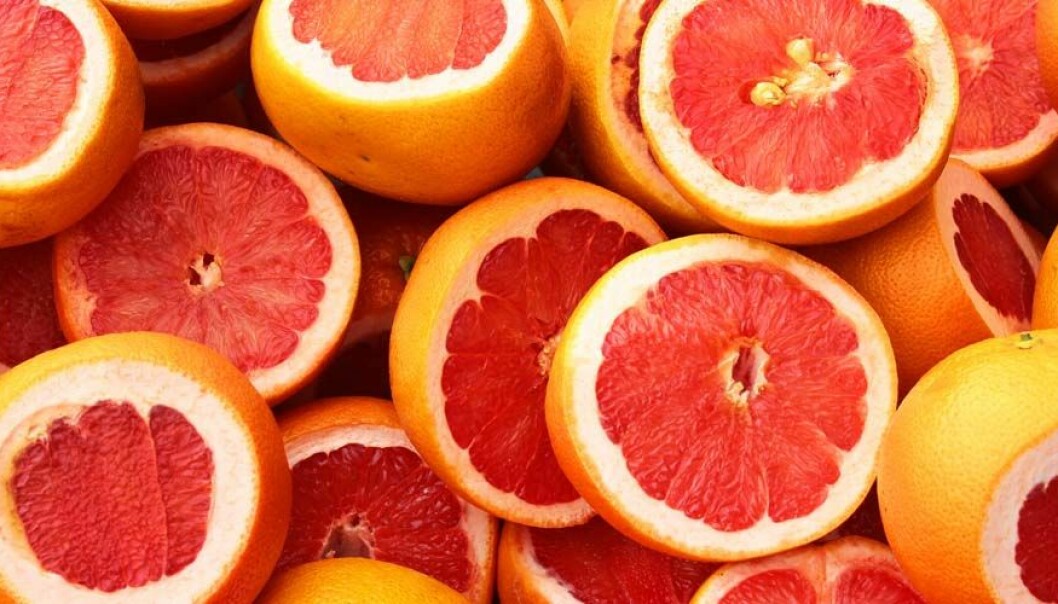 Grapefrukt – 11 saker du bör veta | ELLE