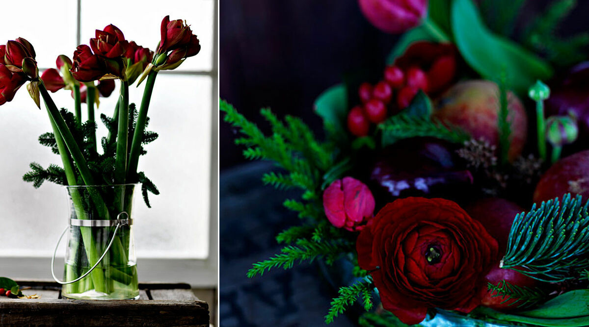 Här är julens 5 trendigaste blommor | ELLE