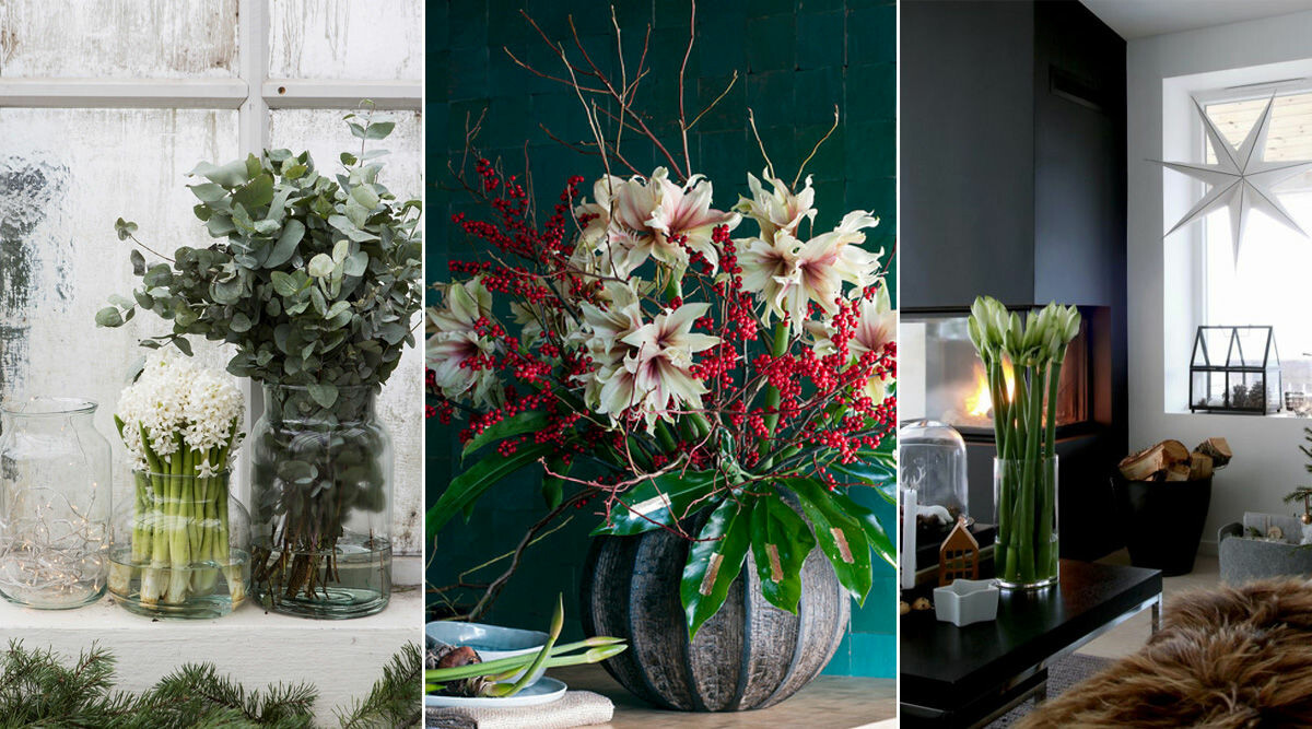 Dekorera med julblommor – fina tips | ELLE