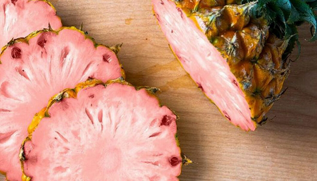 Nu är världens finaste frukt här – den rosa ananasen! | ELLE